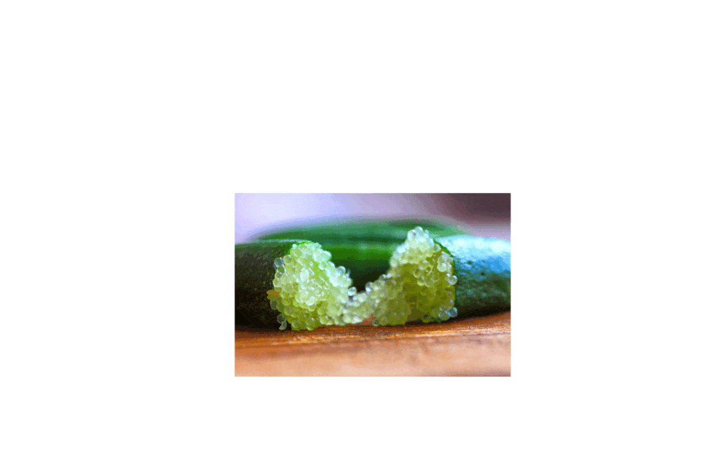 Delicious finger lime pie